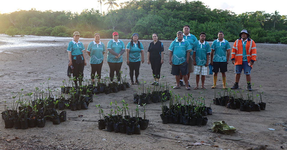 Aim to plant one million trees in Tonga | Matangi Tonga